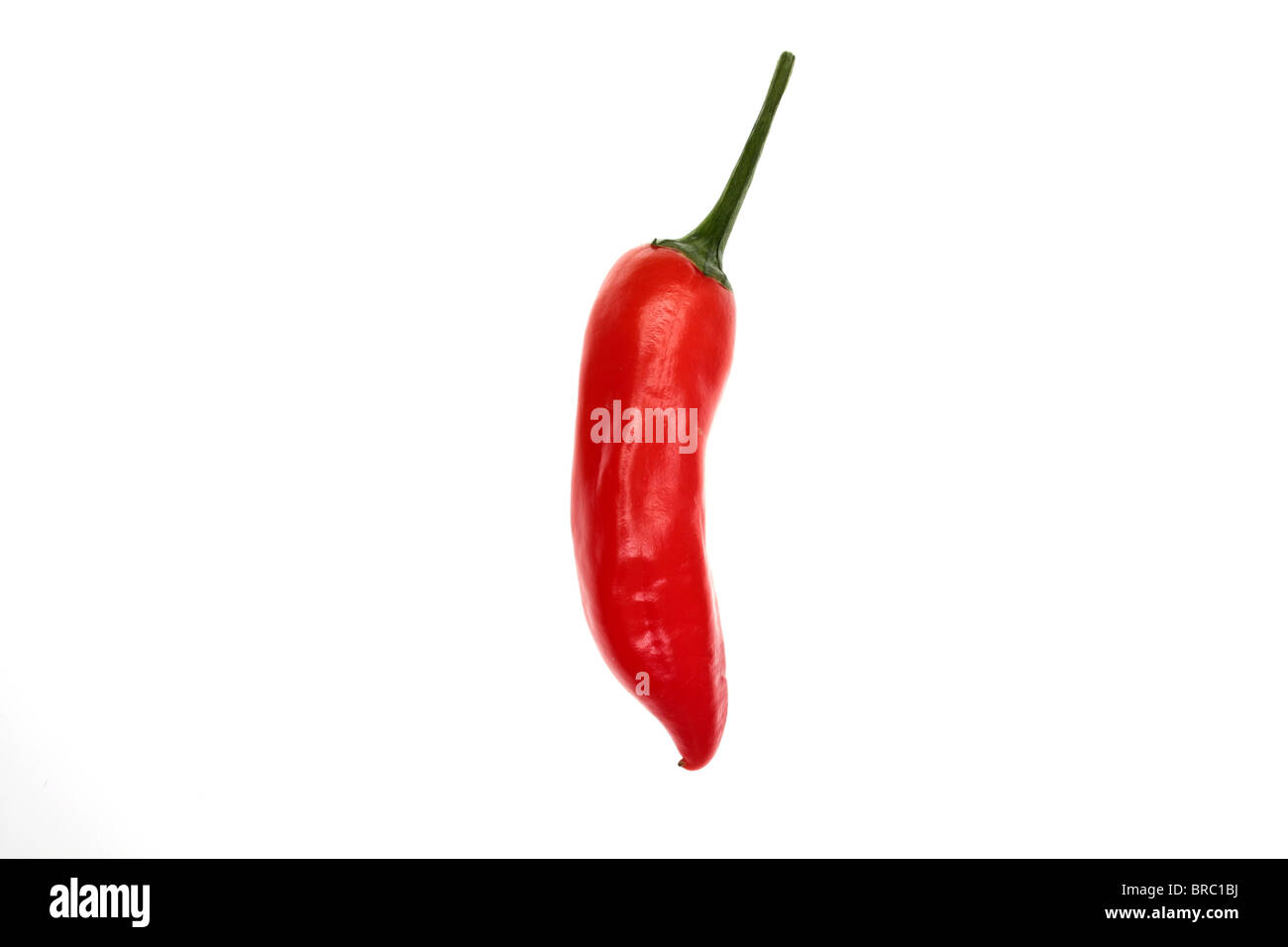 single red chili pepper shot against a white background Stock Photo - Alamy