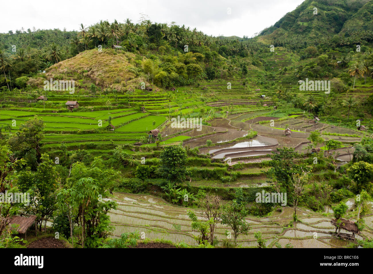 Scenery and terraces hi-res stock photography and images - Alamy