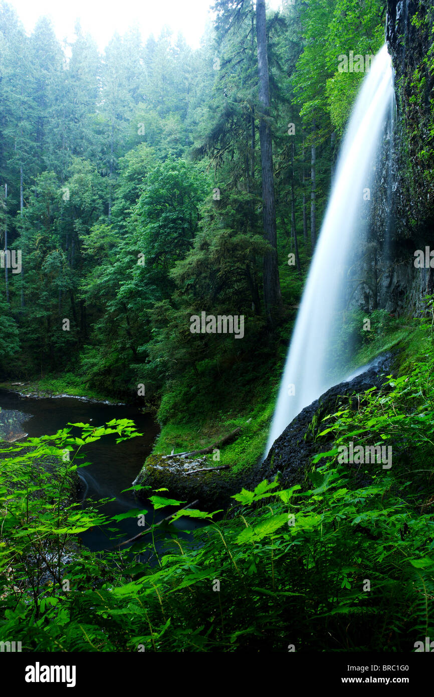 Middle North Falls, Silver Falls State Park, Oregon Stock Photo - Alamy