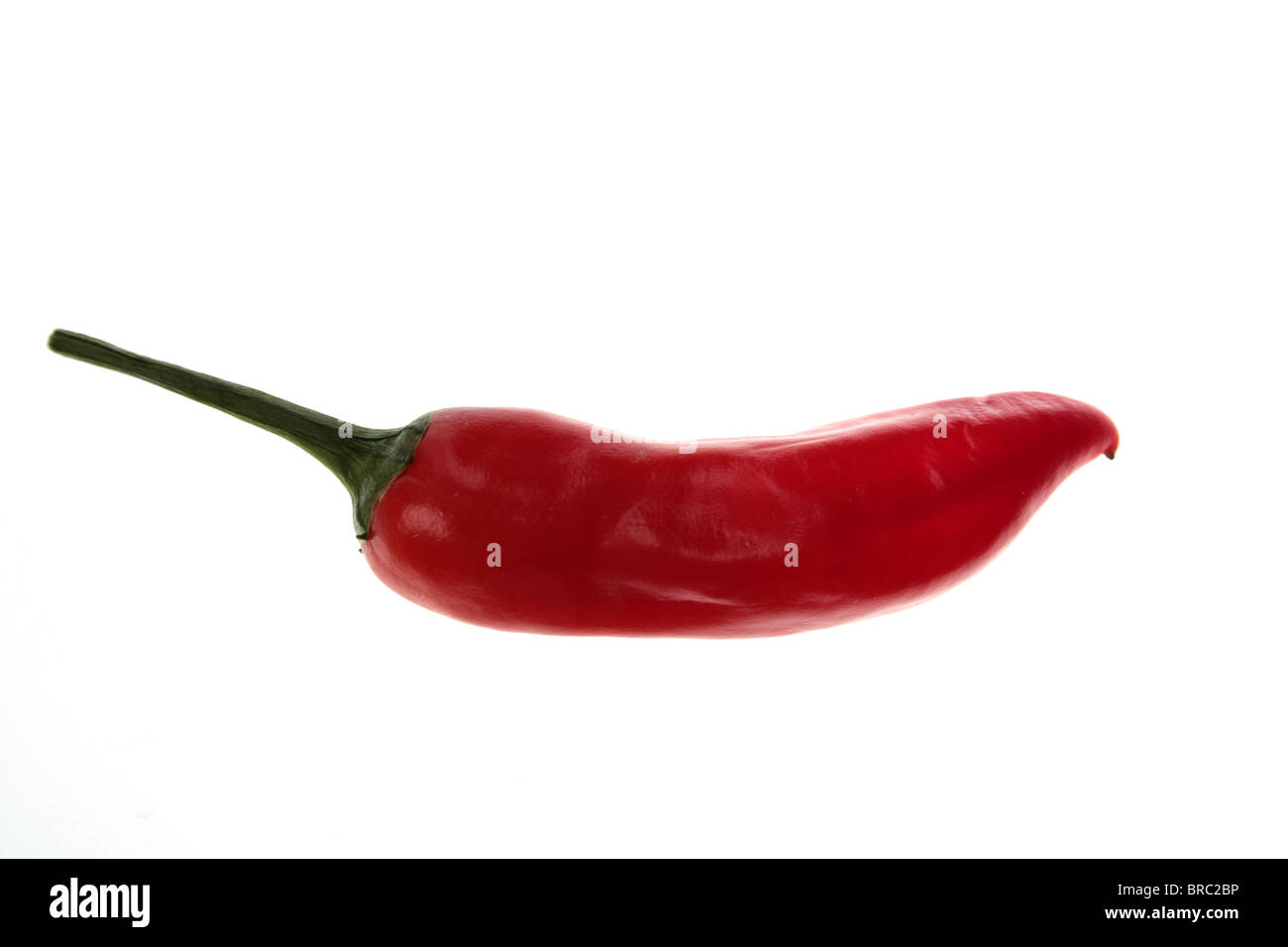 single red chili pepper shot against a white background Stock Photo - Alamy