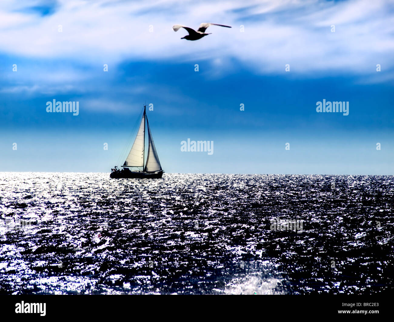 Color solarization hi-res stock photography and images - Alamy