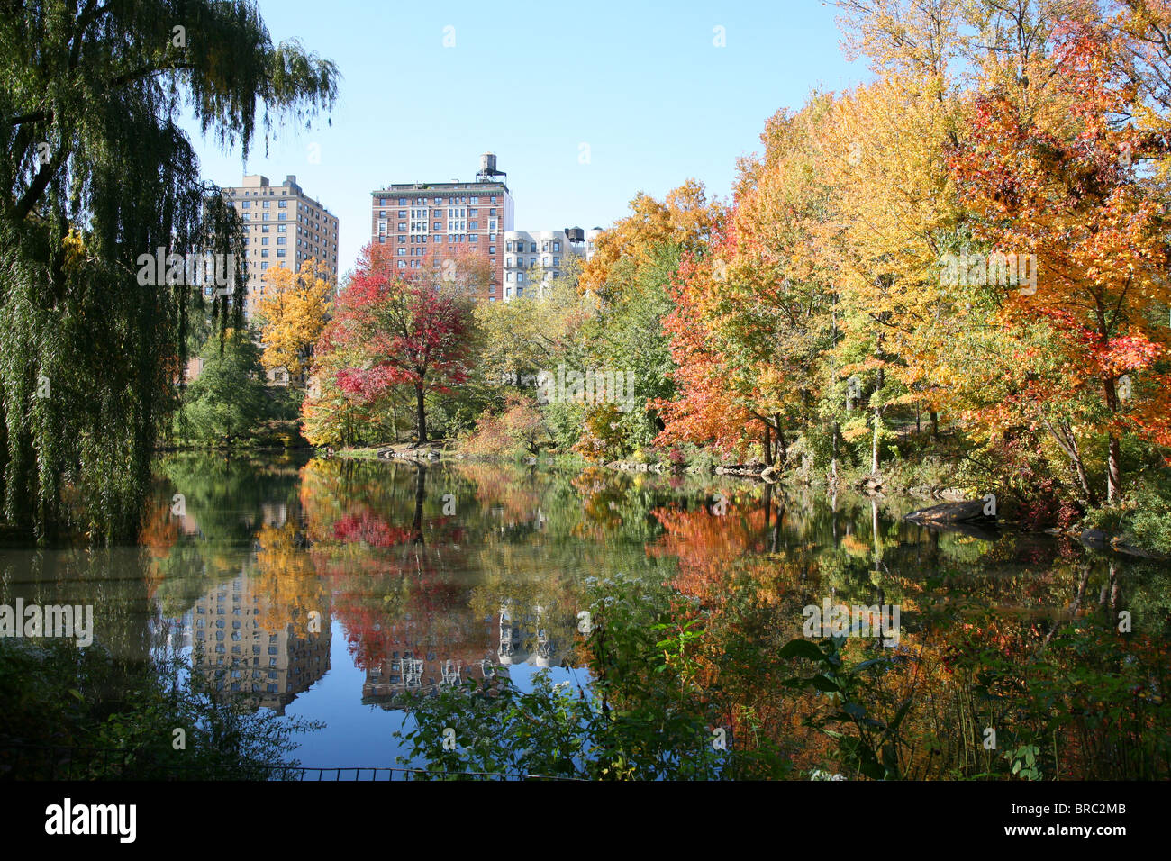 Central park lake new york hi-res stock photography and images - Alamy