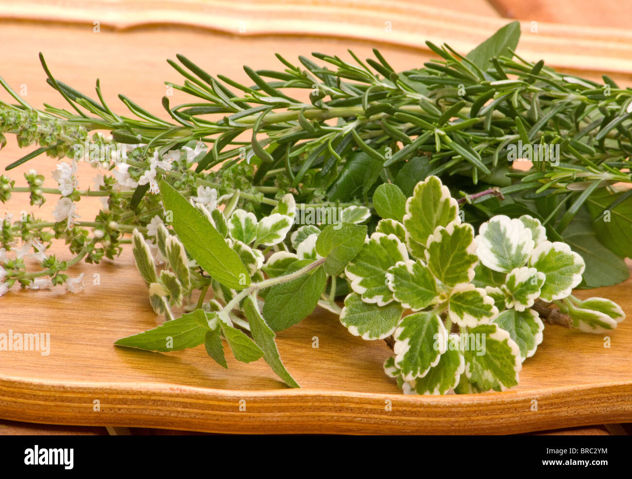 Herbs bunch mixed hi-res stock photography and images - Alamy