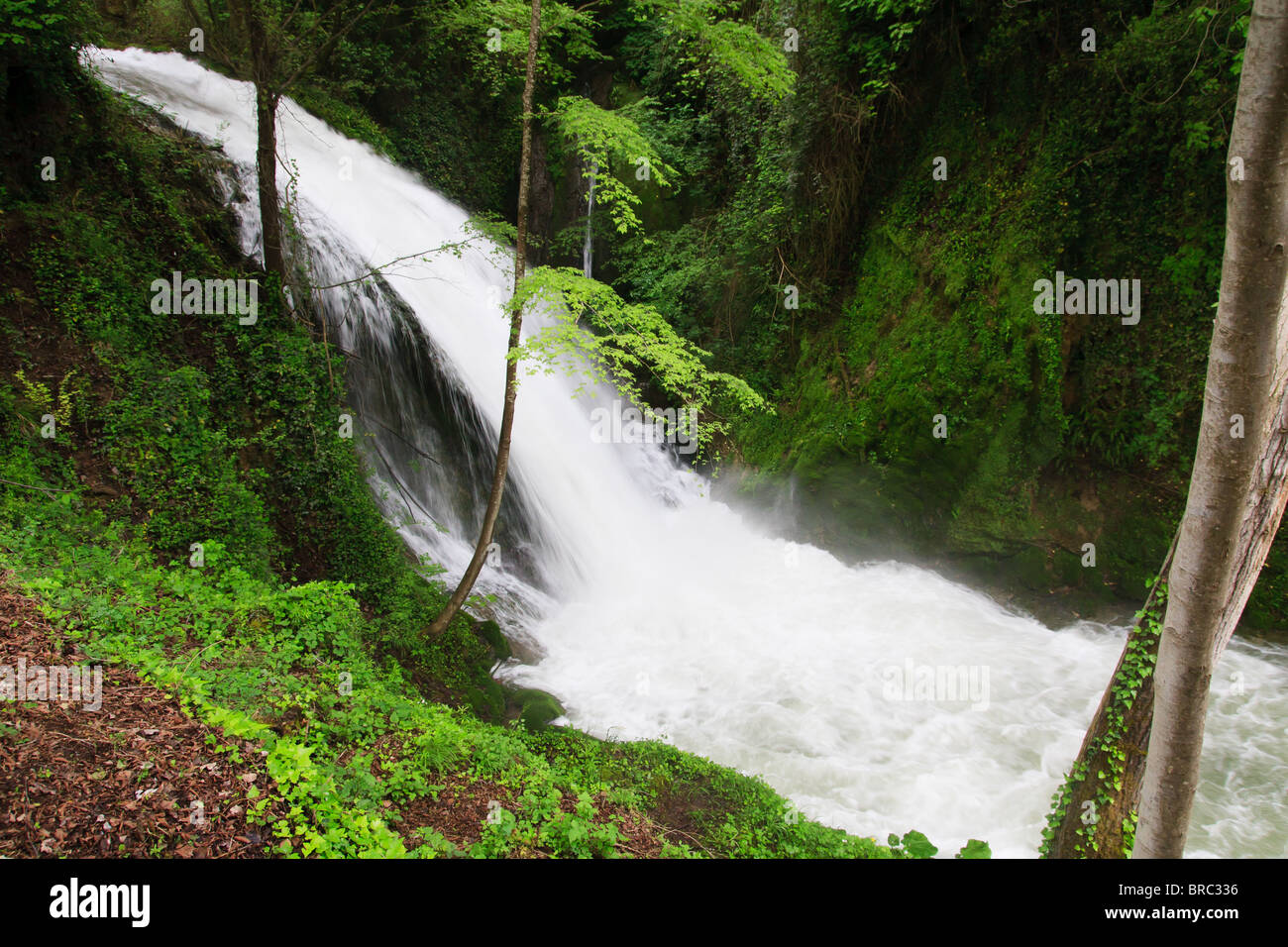 Beautiful waterfall cascade surrounded hi-res stock photography and ...