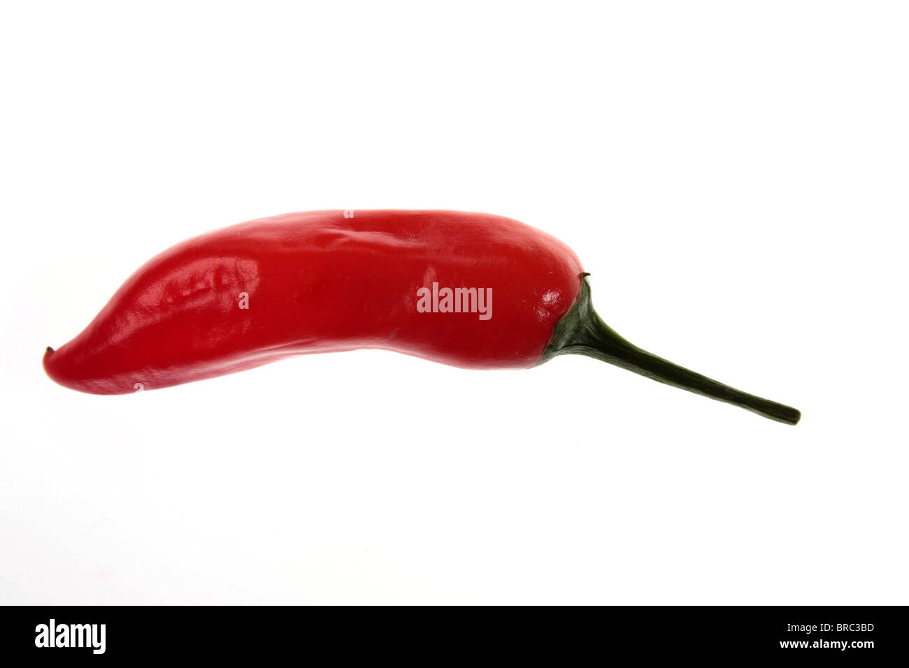 single red chili pepper shot against a white background Stock Photo - Alamy