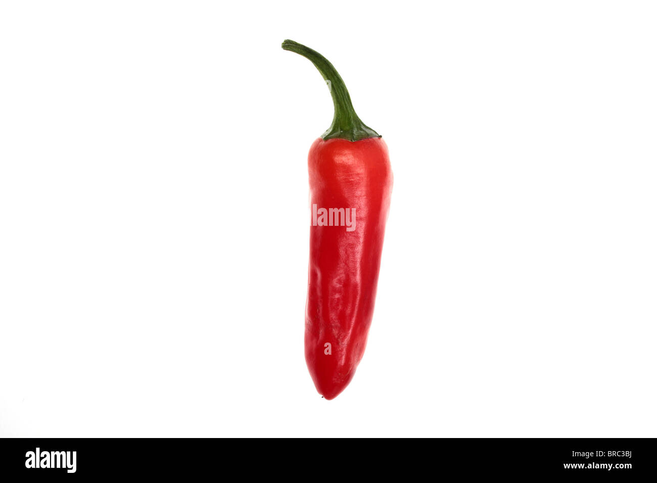 single red chili pepper shot against a white background Stock Photo - Alamy