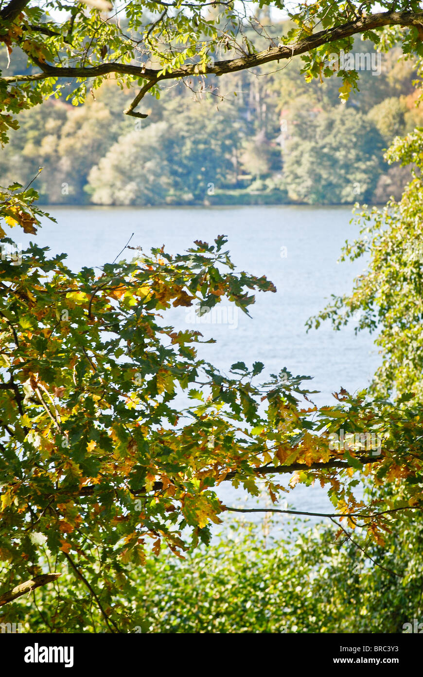 View from the Grunewald Forest overlookig the Havel river in the ...