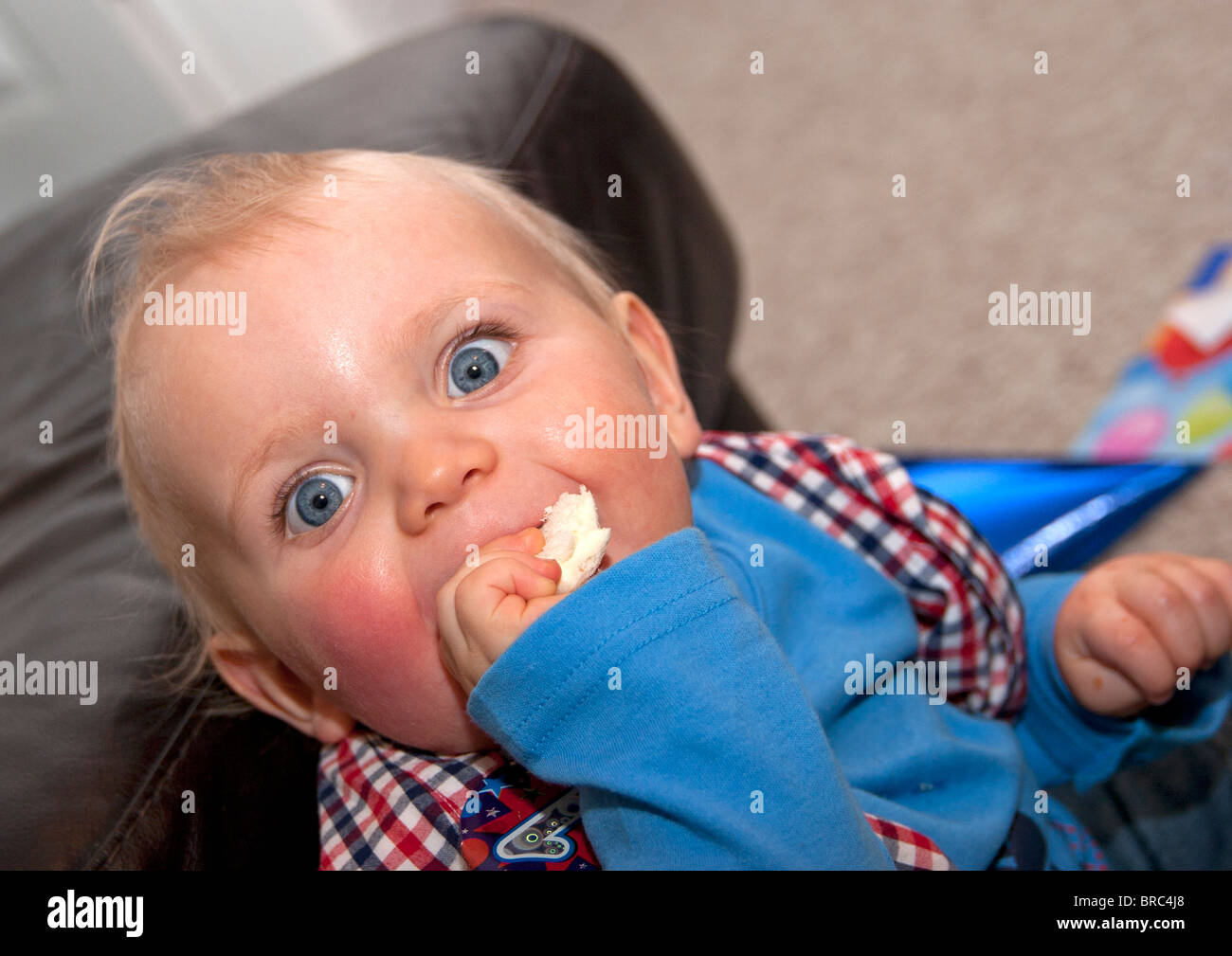 Baby enjoying first birthday sandwich Stock Photo - Alamy