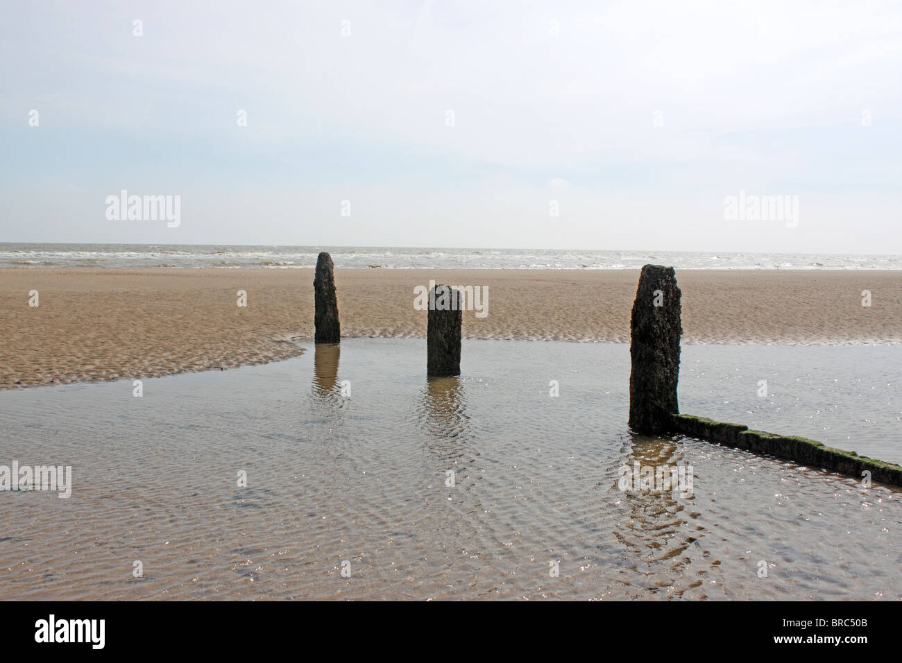 Timber breakwater hi-res stock photography and images - Alamy
