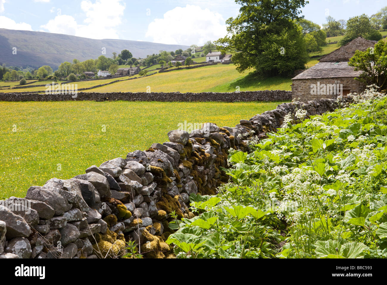 Springtime in Dentdale in the Yorkshire Dales National Park - looking ...