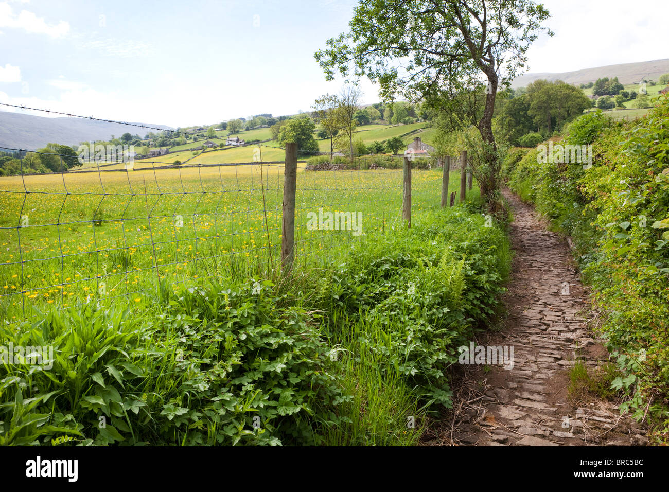 A footpath in Dentdale in the Yorkshire Dales National Park - looking ...