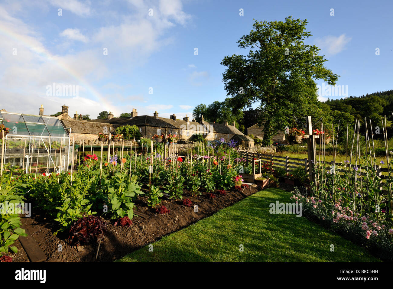 Ordered rows in a garden in the medieval village of Blanchland ...