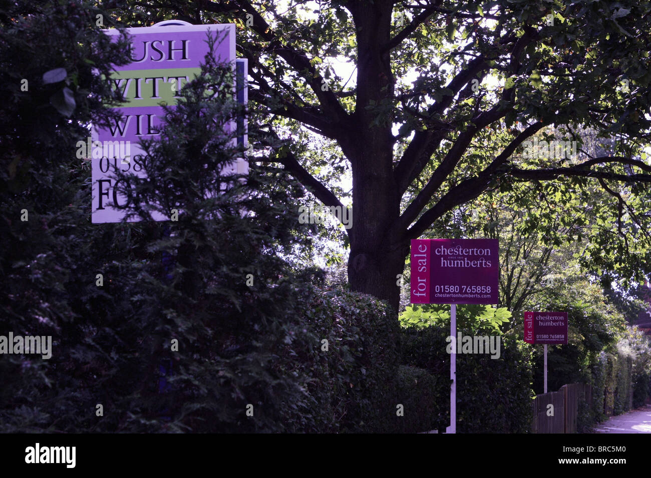 For Sale signs in a tree and hedge lined road in rural Kent, England ...
