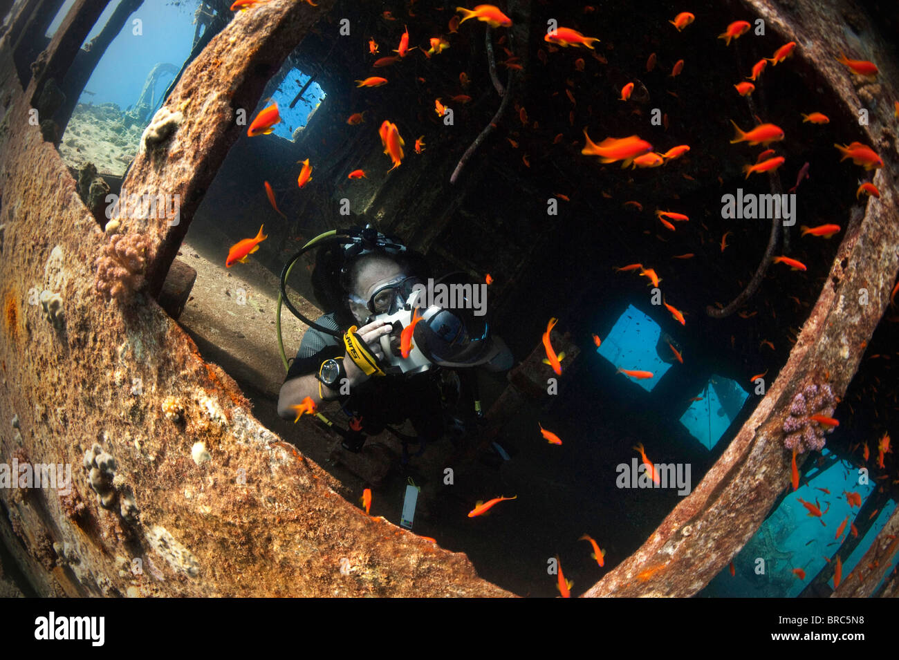 Red Sea Underwater Bridge