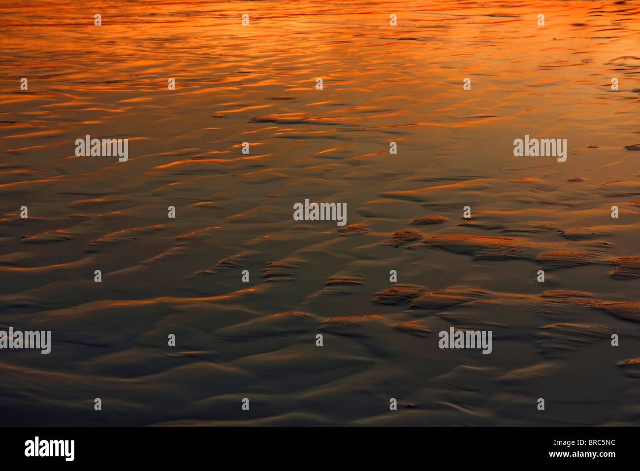 Sunset reflections on wet sands Stock Photo - Alamy