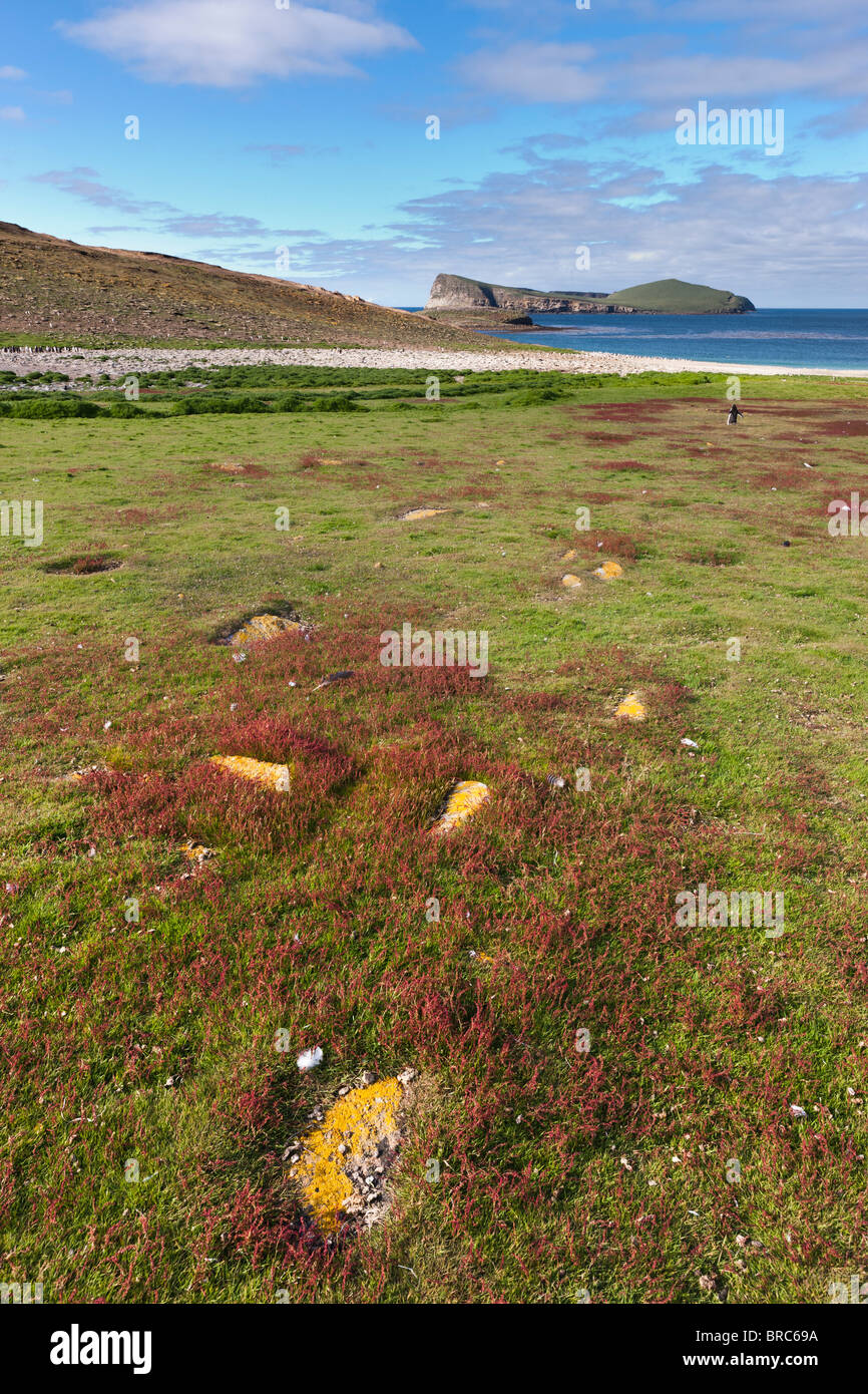 Falkland islands landscape hi-res stock photography and images - Alamy