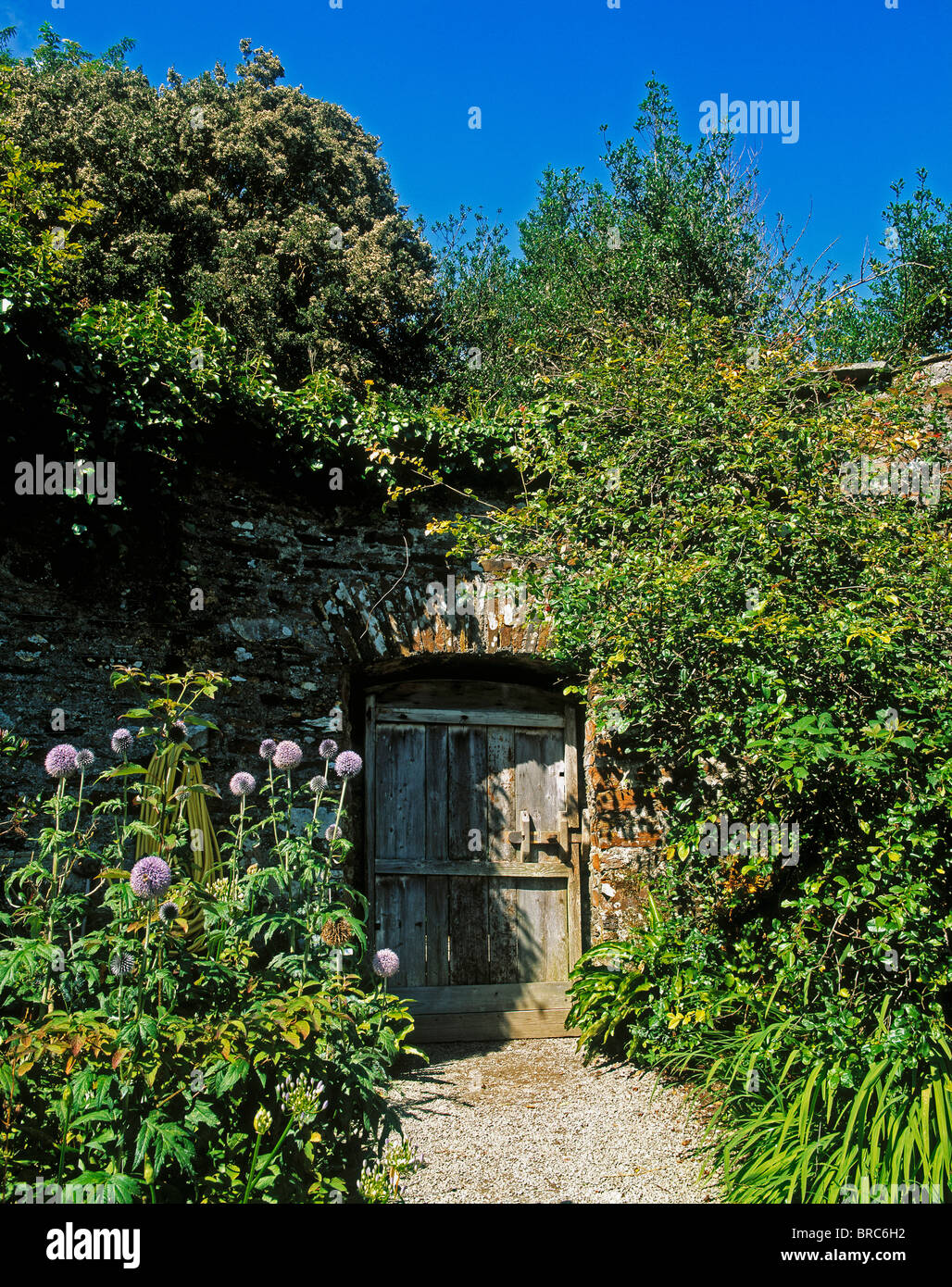 Creagh gardens hi-res stock photography and images - Alamy