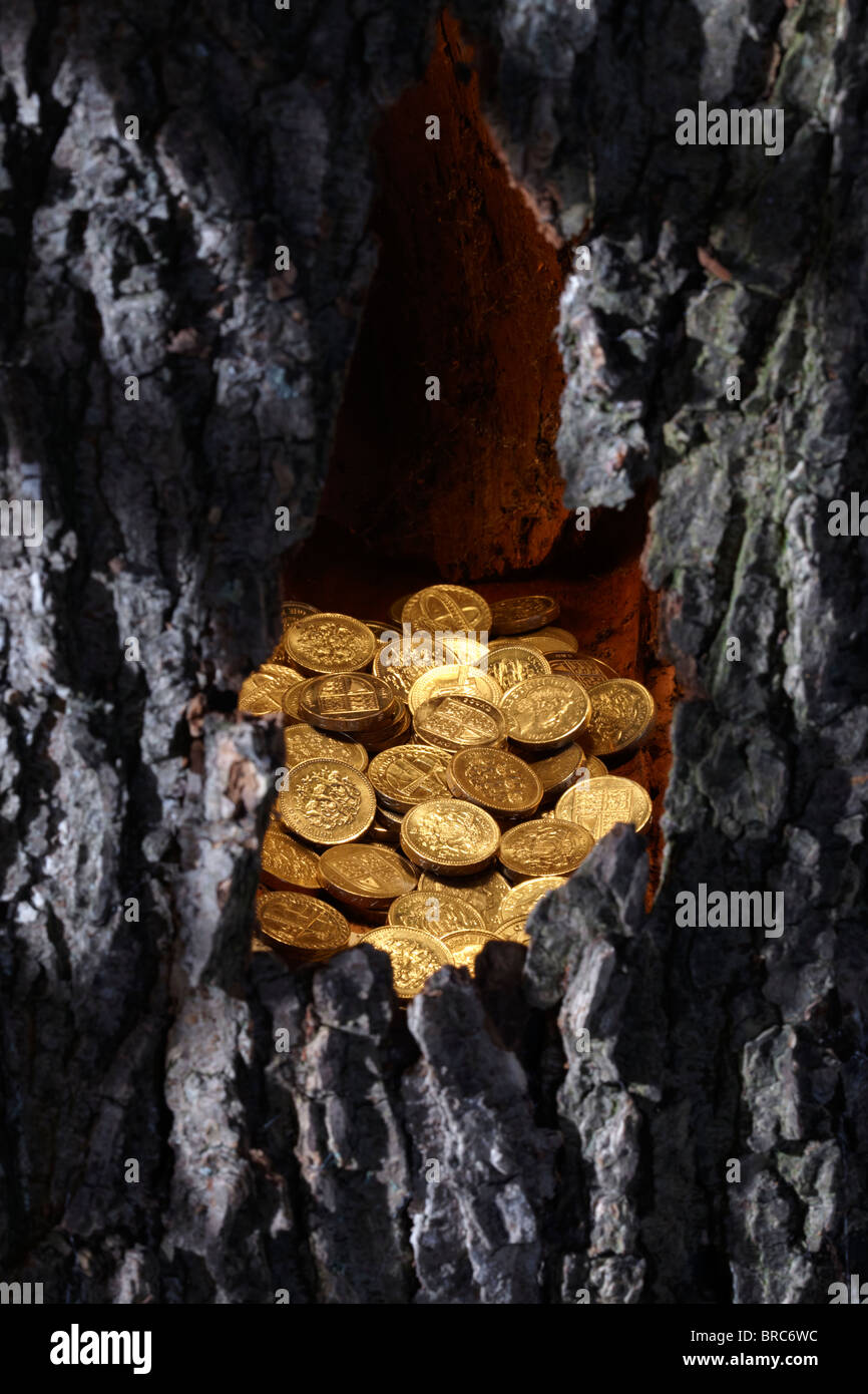 Gold pound coins in tree trunk Stock Photo - Alamy