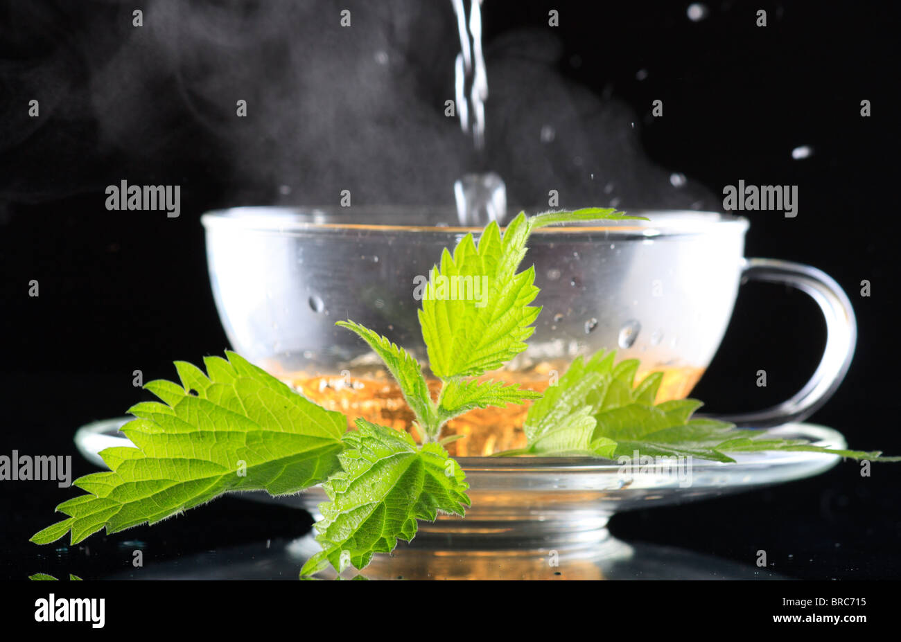 Nettle herb hi-res stock photography and images - Alamy