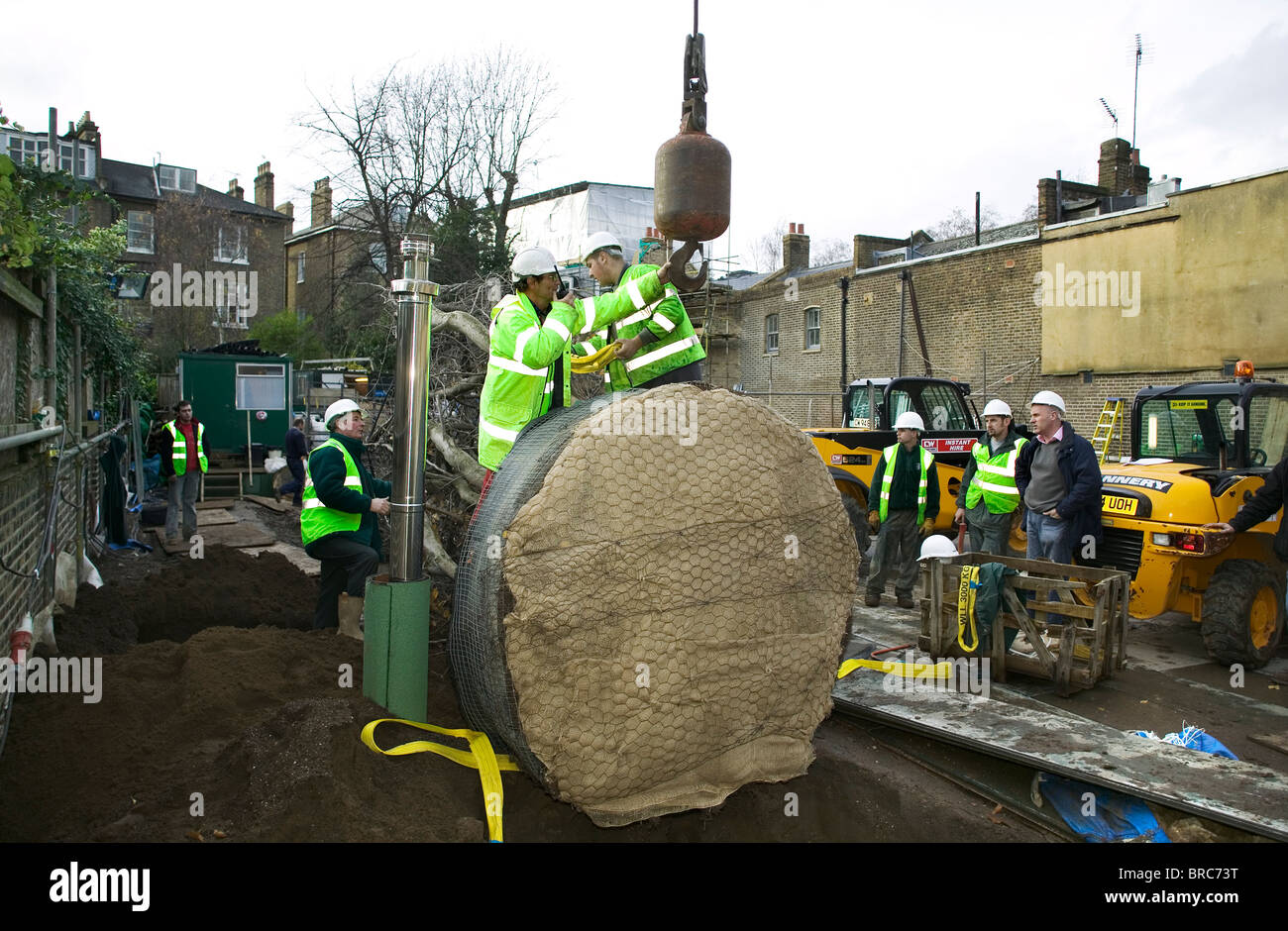 Lifting tree over building for planting Stock Photo - Alamy