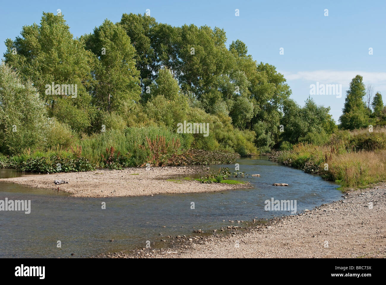 Green trees with river and blue sky Stock Photo - Alamy