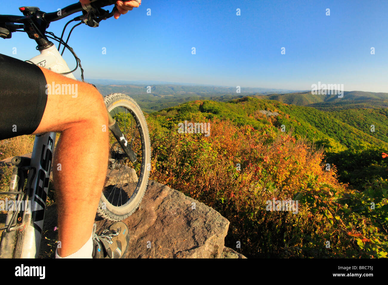 Mountain biker on Reddish Knob in George Washington National Forest ...