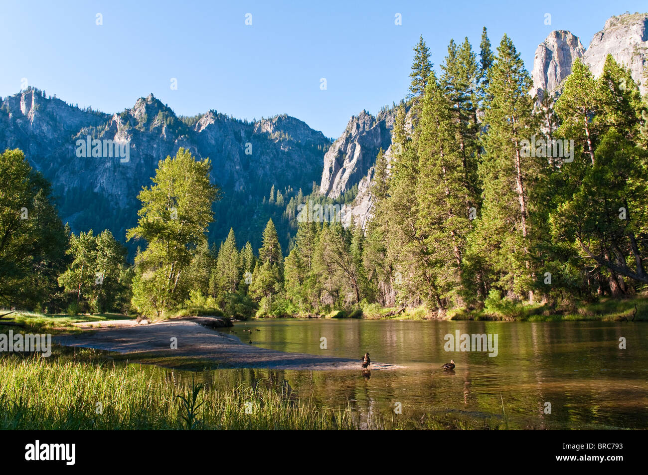 Typical landscape in the morning, with Merced River in Yosemite ...