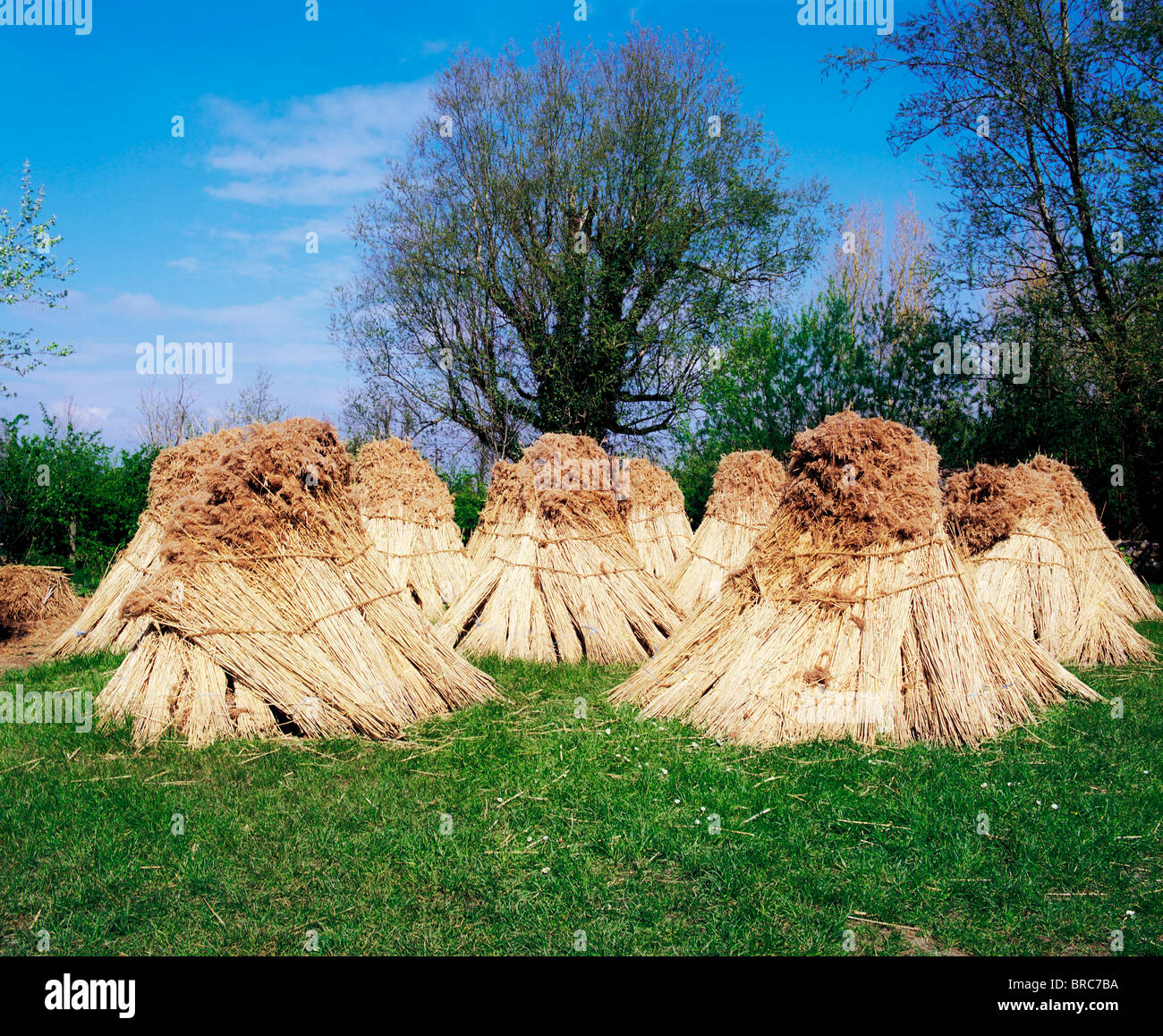 Small haystacks hi-res stock photography and images - Alamy