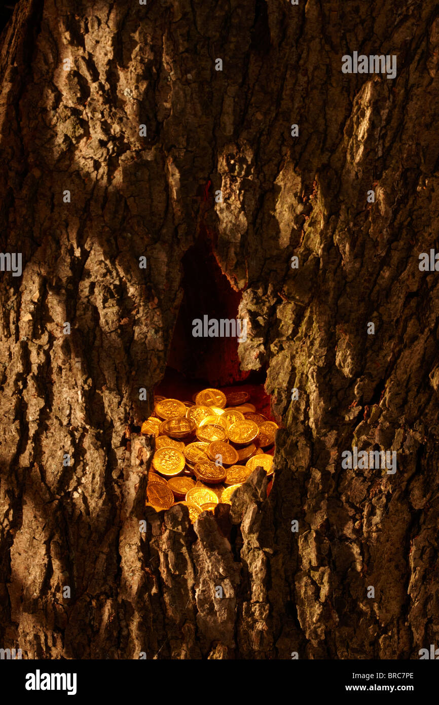 Coins in tree trunk hi-res stock photography and images - Alamy