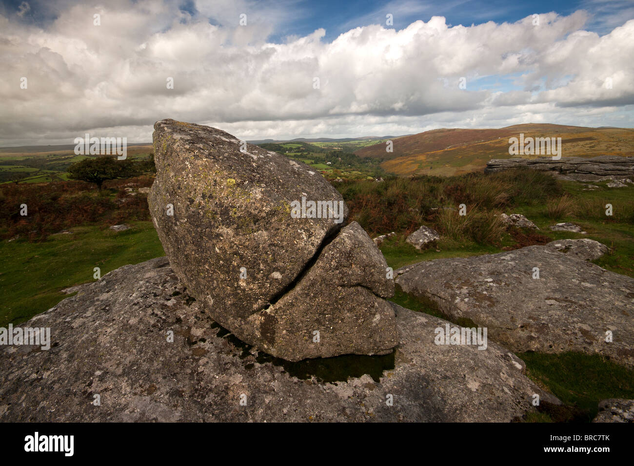 Face like stone at Combestone Tor Stock Photo - Alamy