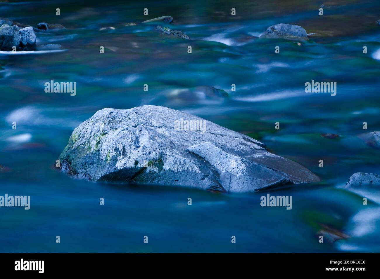 river stream close up Stock Photo - Alamy