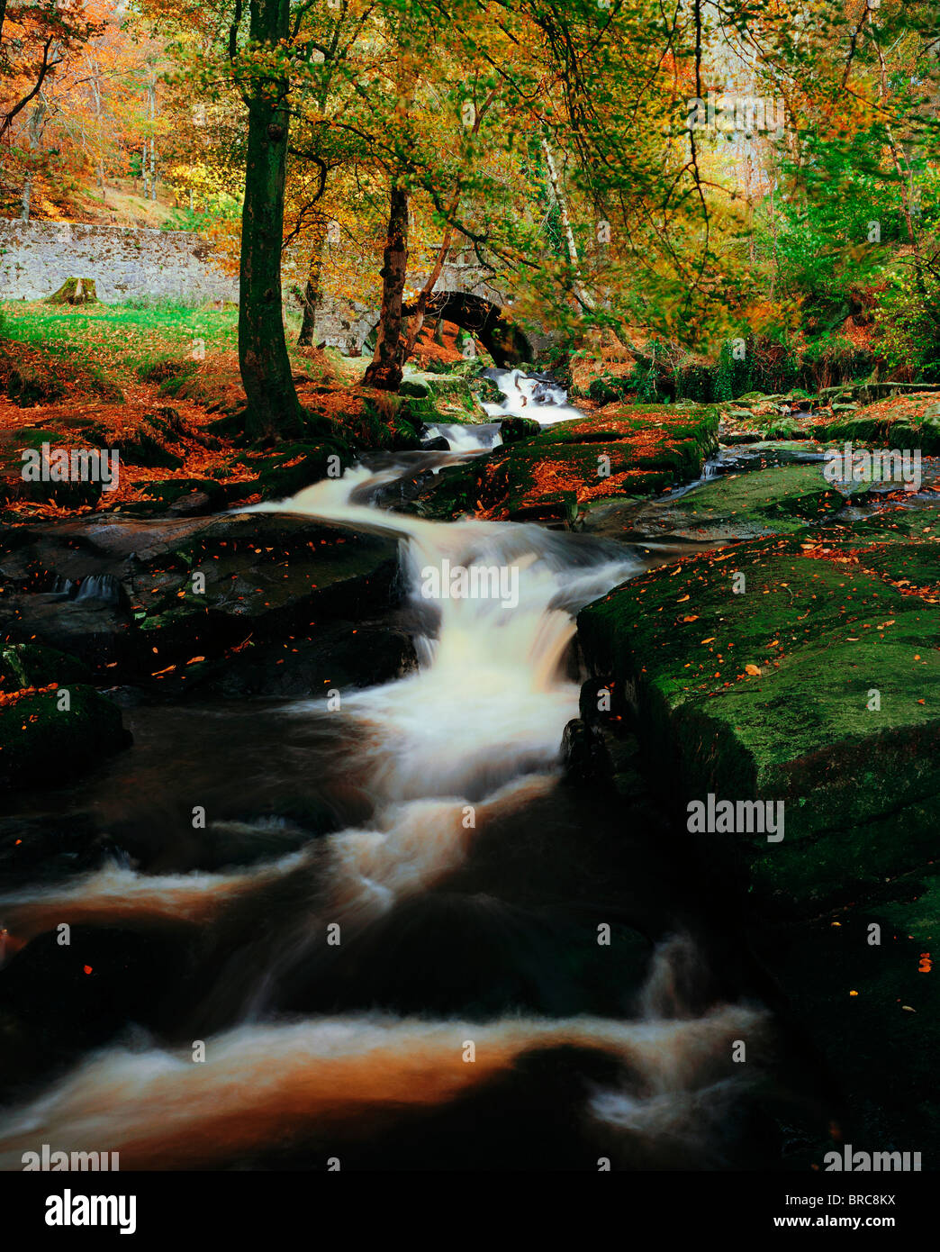 Co Wicklow, Ireland; Waterfalll Near Sally Gap Stock Photo - Alamy