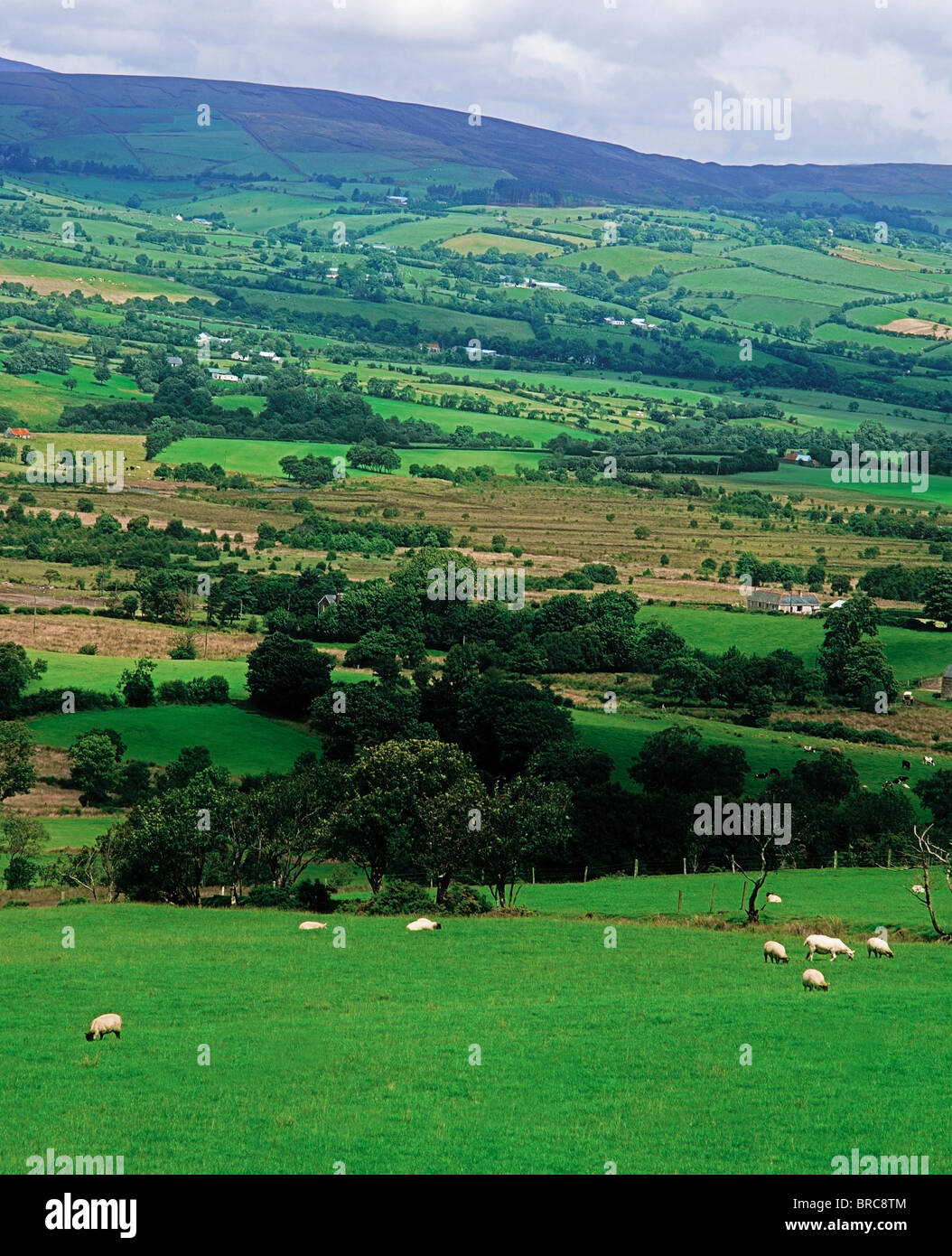 Gortin hi-res stock photography and images - Alamy