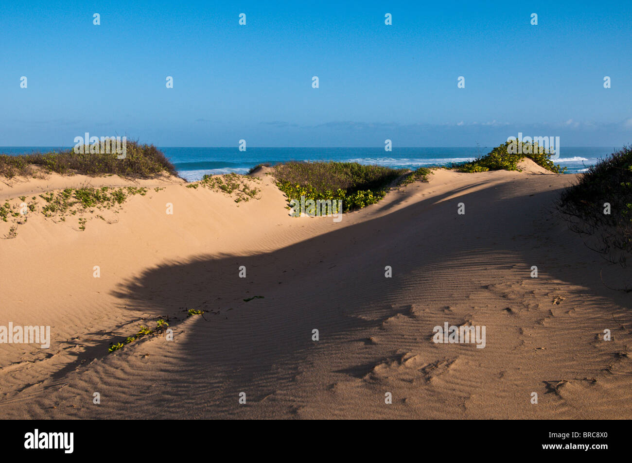 Polihale state park hi-res stock photography and images - Alamy