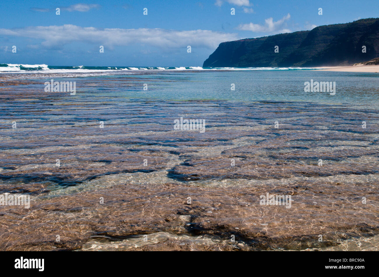Queens pond hi-res stock photography and images - Alamy