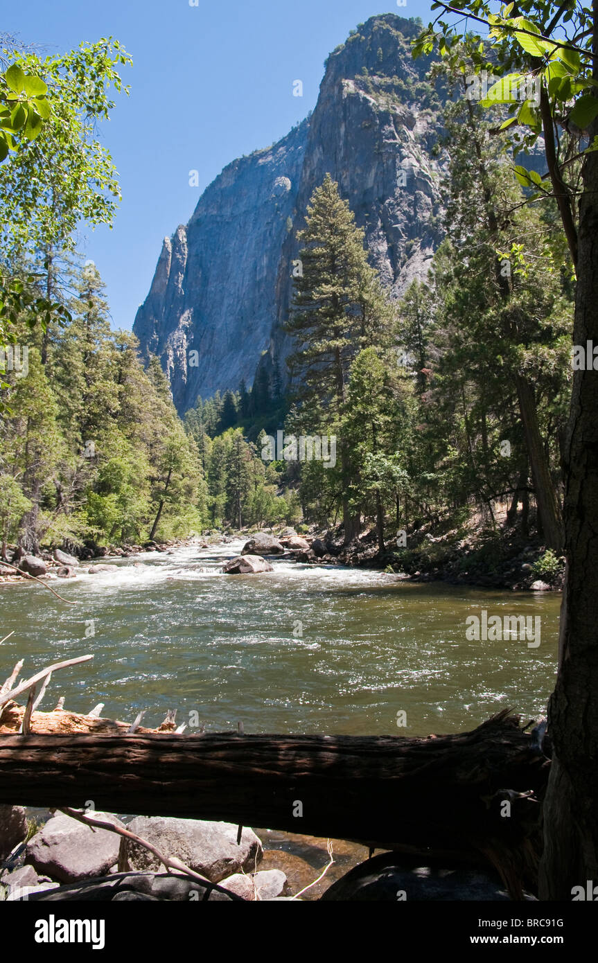 Typical landscape with Merced River in Yosemite National Park ...