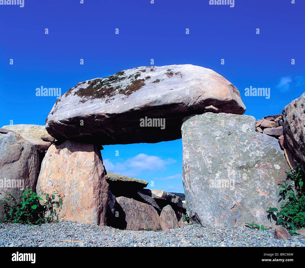 Ulster History Park, Co Tyrone, Ireland Stock Photo - Alamy