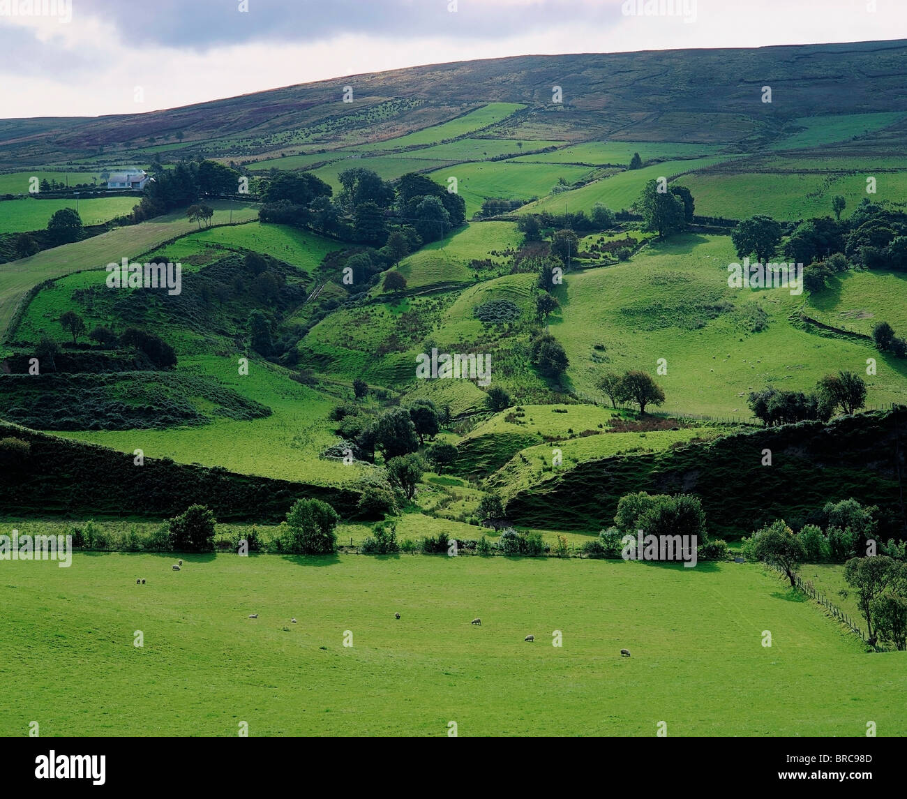 Glenelly Valley, Sperrin Mountains, Co Tyrone, Ireland Stock Photo - Alamy