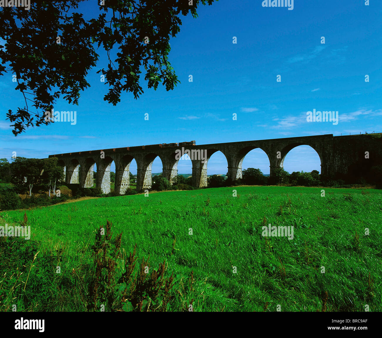 Newry co northern ireland hi-res stock photography and images - Alamy