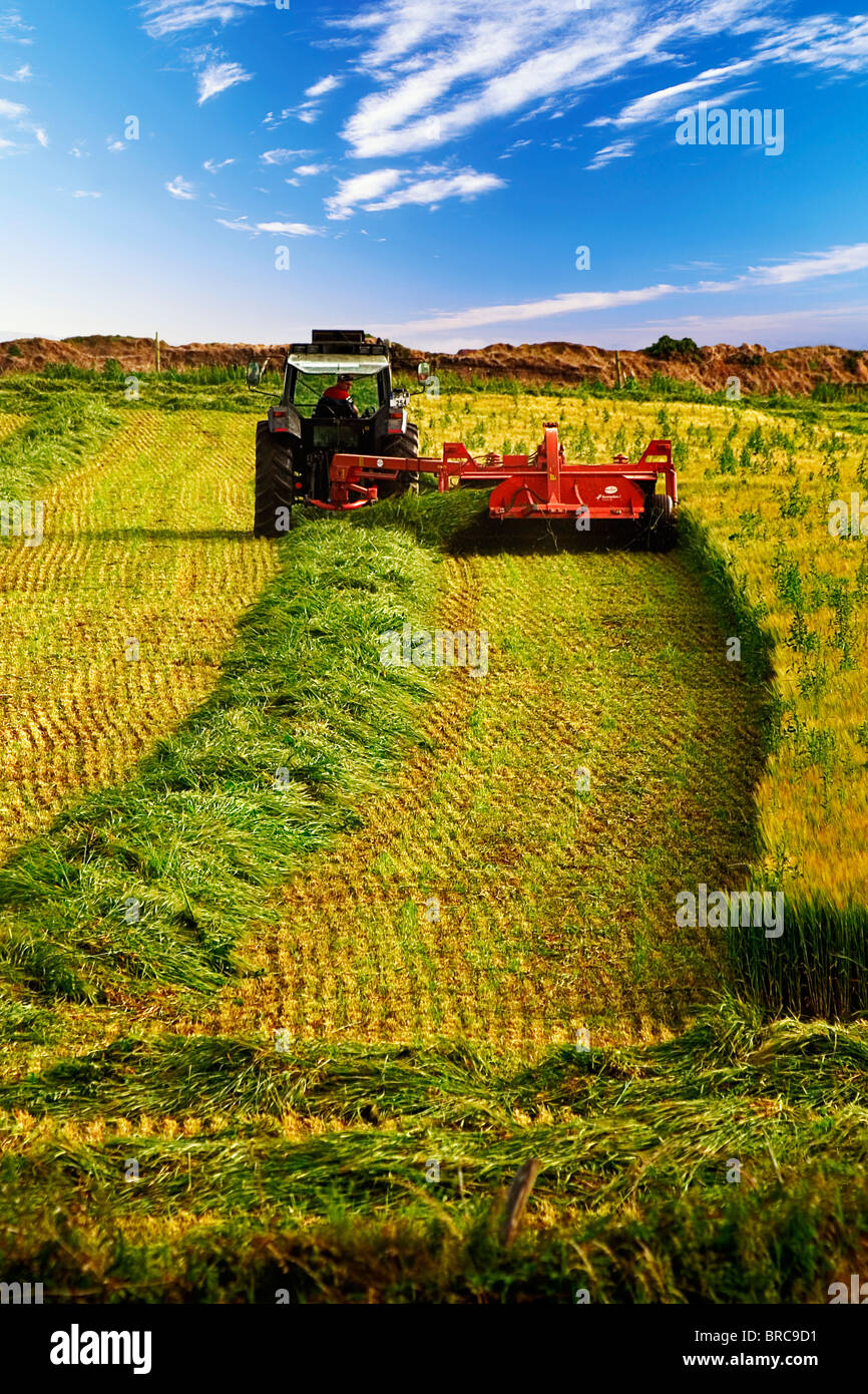 Rural ireland silage hi-res stock photography and images - Alamy