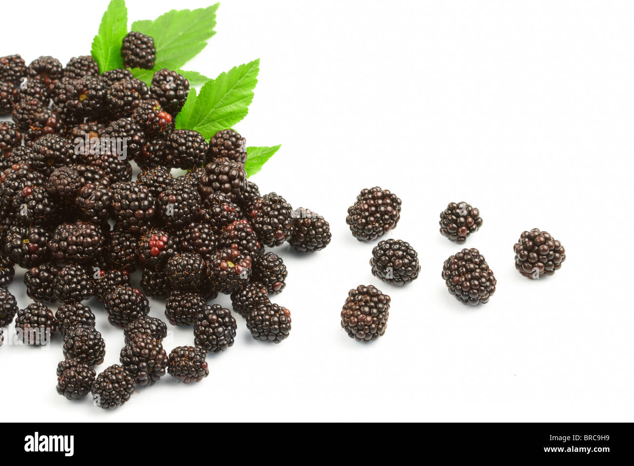 Garden dewberry hi-res stock photography and images - Alamy