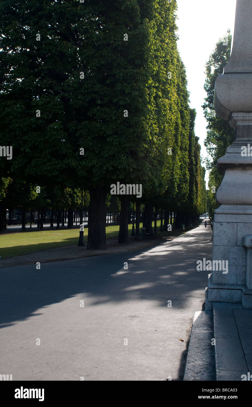 Row of trees paris hi-res stock photography and images - Alamy