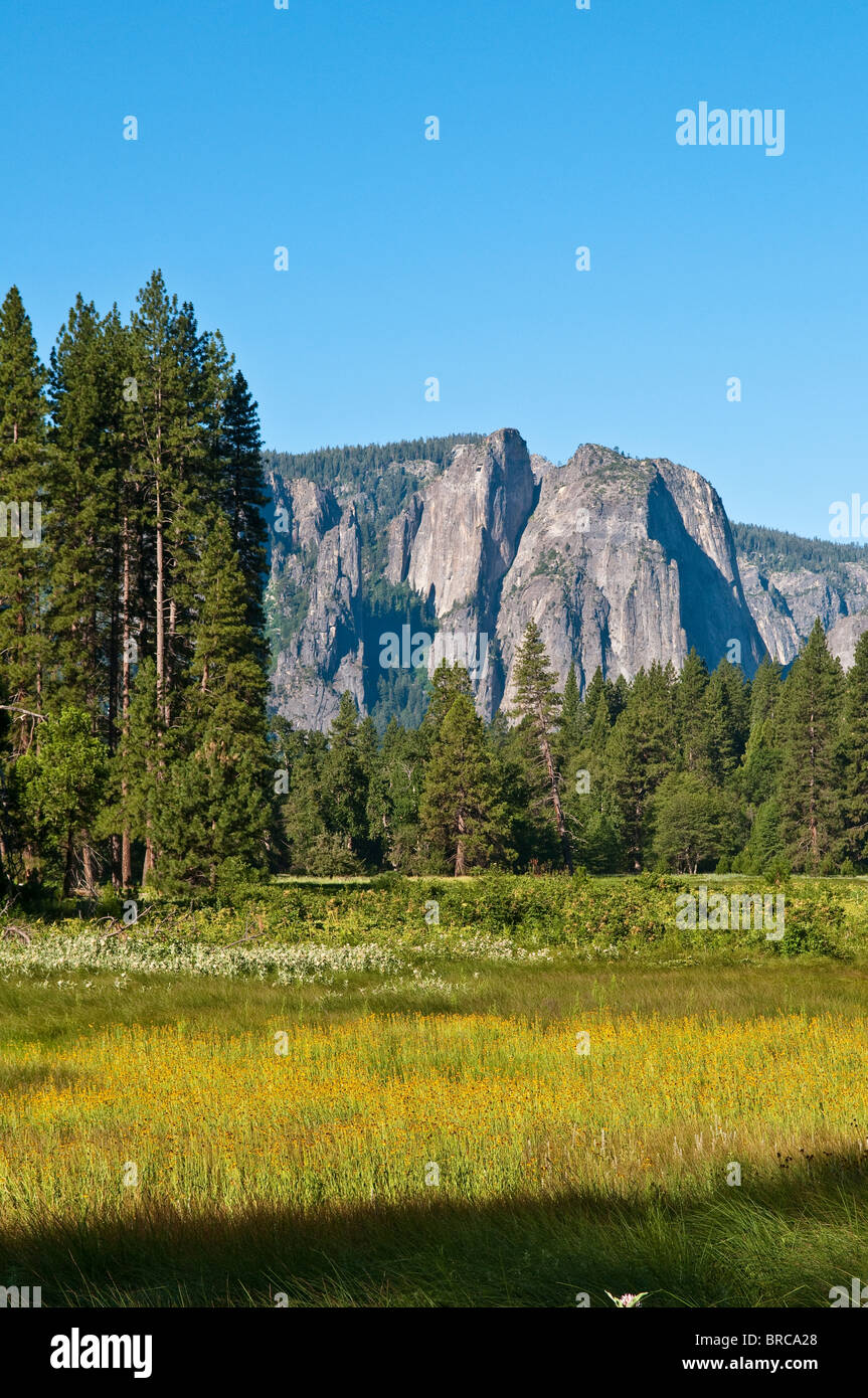 Typical landscape in Yosemite National Park, California, USA Stock ...