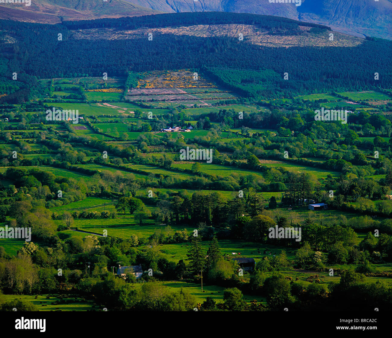 Glen Of Aherlow, Co Tipperary, Ireland Stock Photo - Alamy