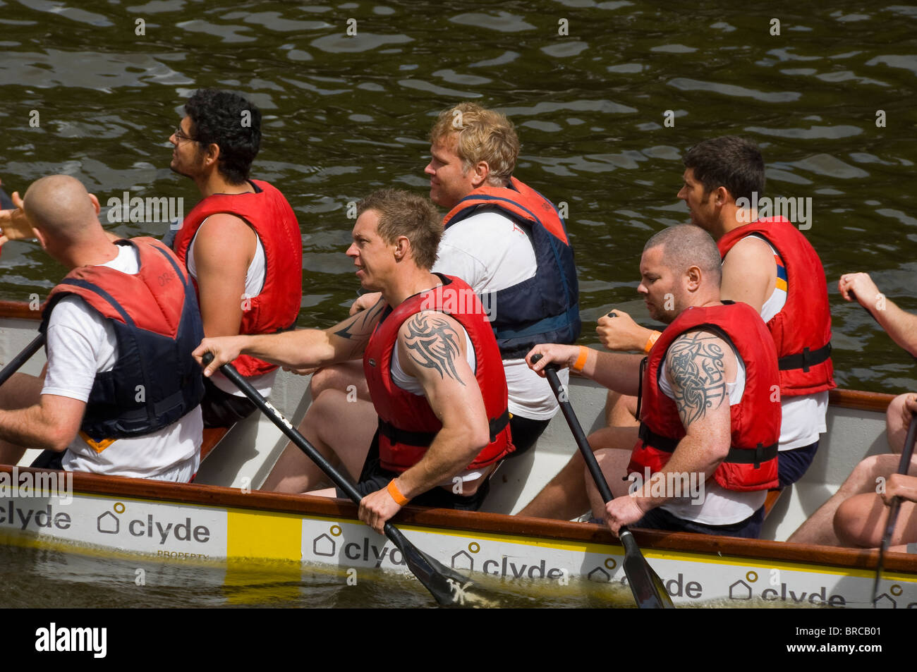 Close up of Men in boat competing in the Dragon Boat Challenge race on ...