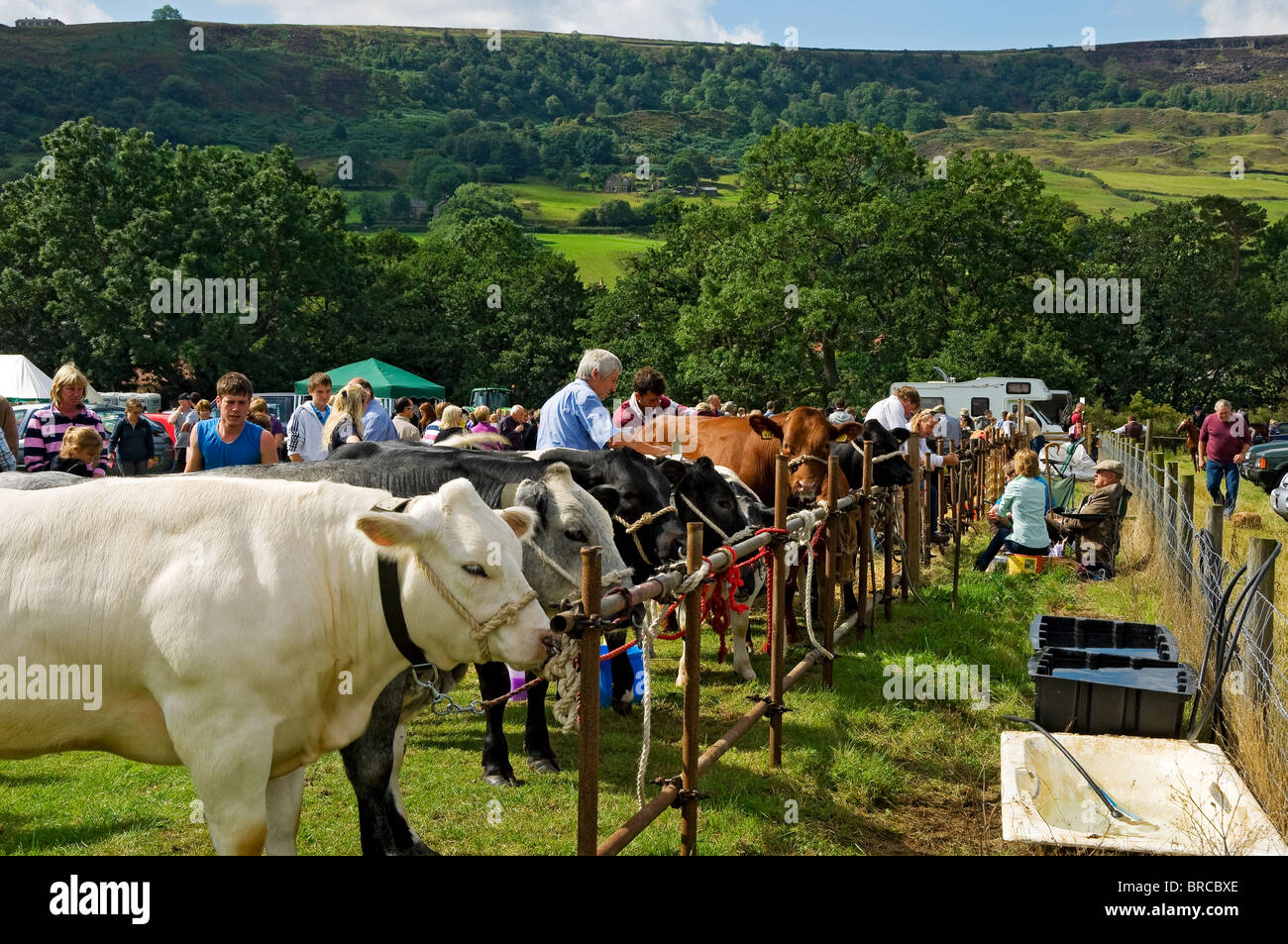 Rosedale show hi-res stock photography and images - Alamy