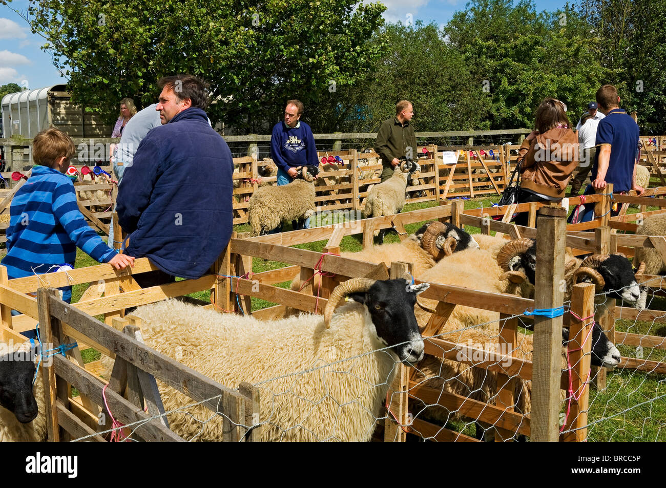 Rosedale show hi-res stock photography and images - Alamy