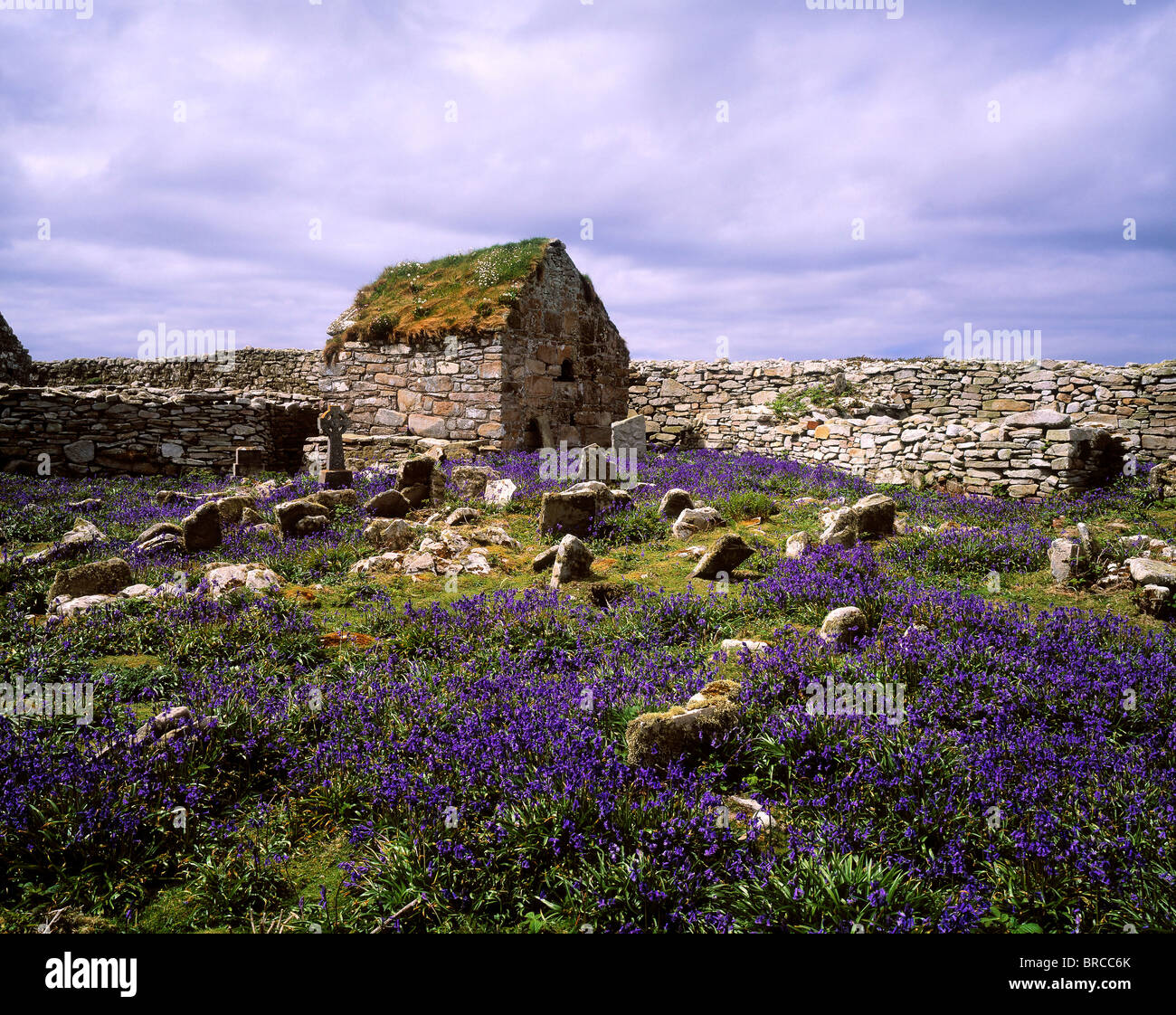 Inishmurray Island, Co Sligo, Ireland; Monastery Ruins Stock Photo - Alamy