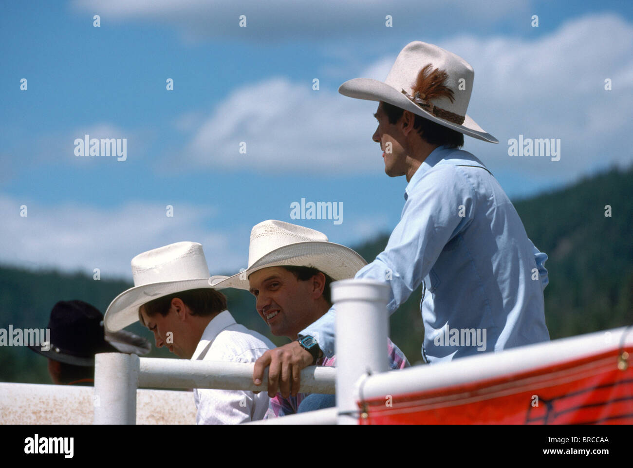 Cowboys standing at Fence behind Chutes and watching Rodeo Stock Photo ...
