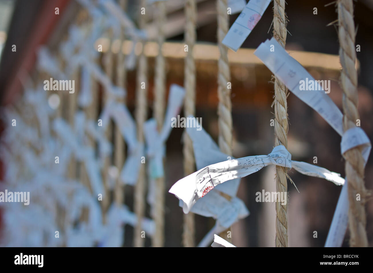 Omikuji are used to bring good luck or to avoid bad luck. They are ...